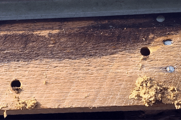 How To Protect Wood Siding From Carpenter Bees